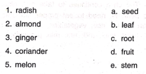 DAV Class 3 Science Chapter 8 Question Answer Food - SolutionGyan