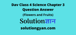 Dav Class 4 Science Chapter 3 Question Answer Flowers And Fruits ...